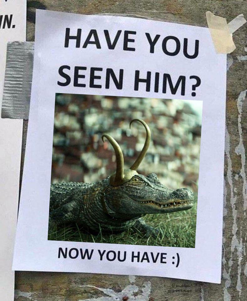 Now You See Me 3 | Alligator Loki | Know Your Meme