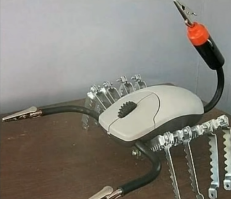 Prepping for the Robot Uprising | /r/Hmmm | Know Your Meme