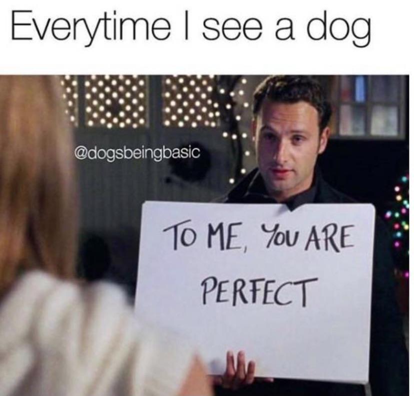 To me, you are perfect | /r/wholesomememes | Wholesome Memes | Know ...