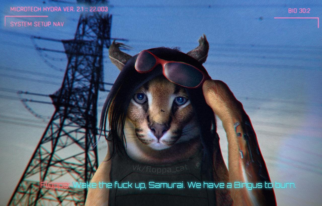 Johnny Silverhand Floppa | Big Floppa | Know Your Meme