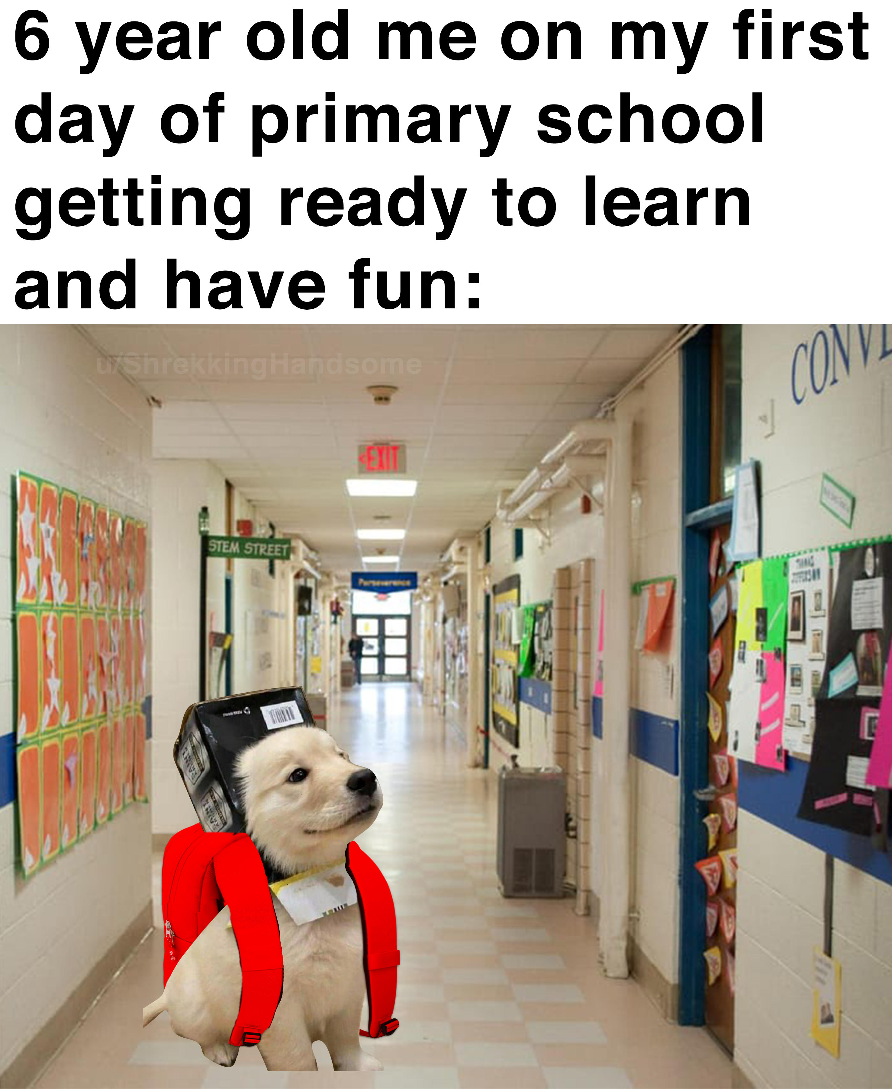 Time to learn boys and girls!! | /r/wholesomememes | Wholesome Memes ...