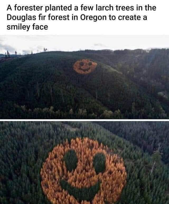 Just normal Oregon things | /r/wholesomememes | Wholesome Memes | Know ...