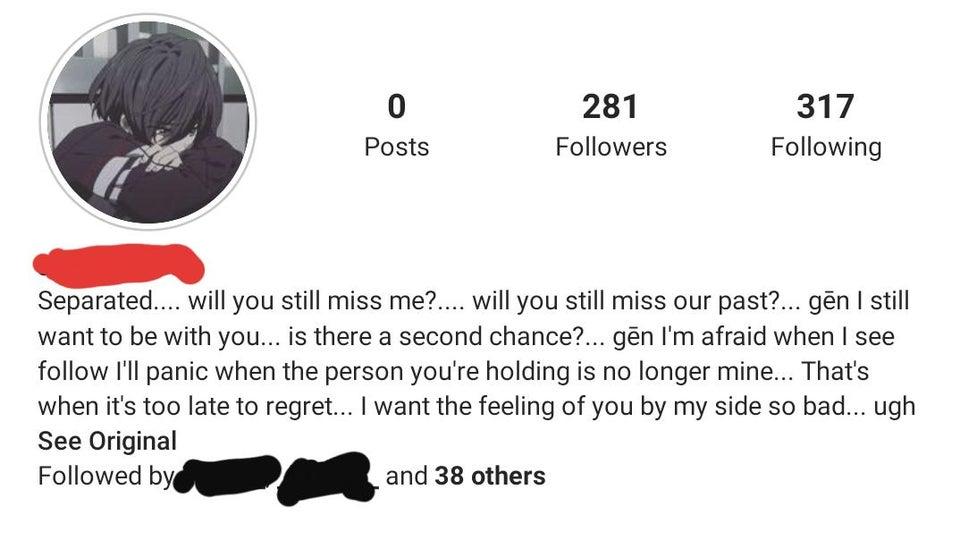 This Post-Breakup Instagram Bio | Know Your Meme