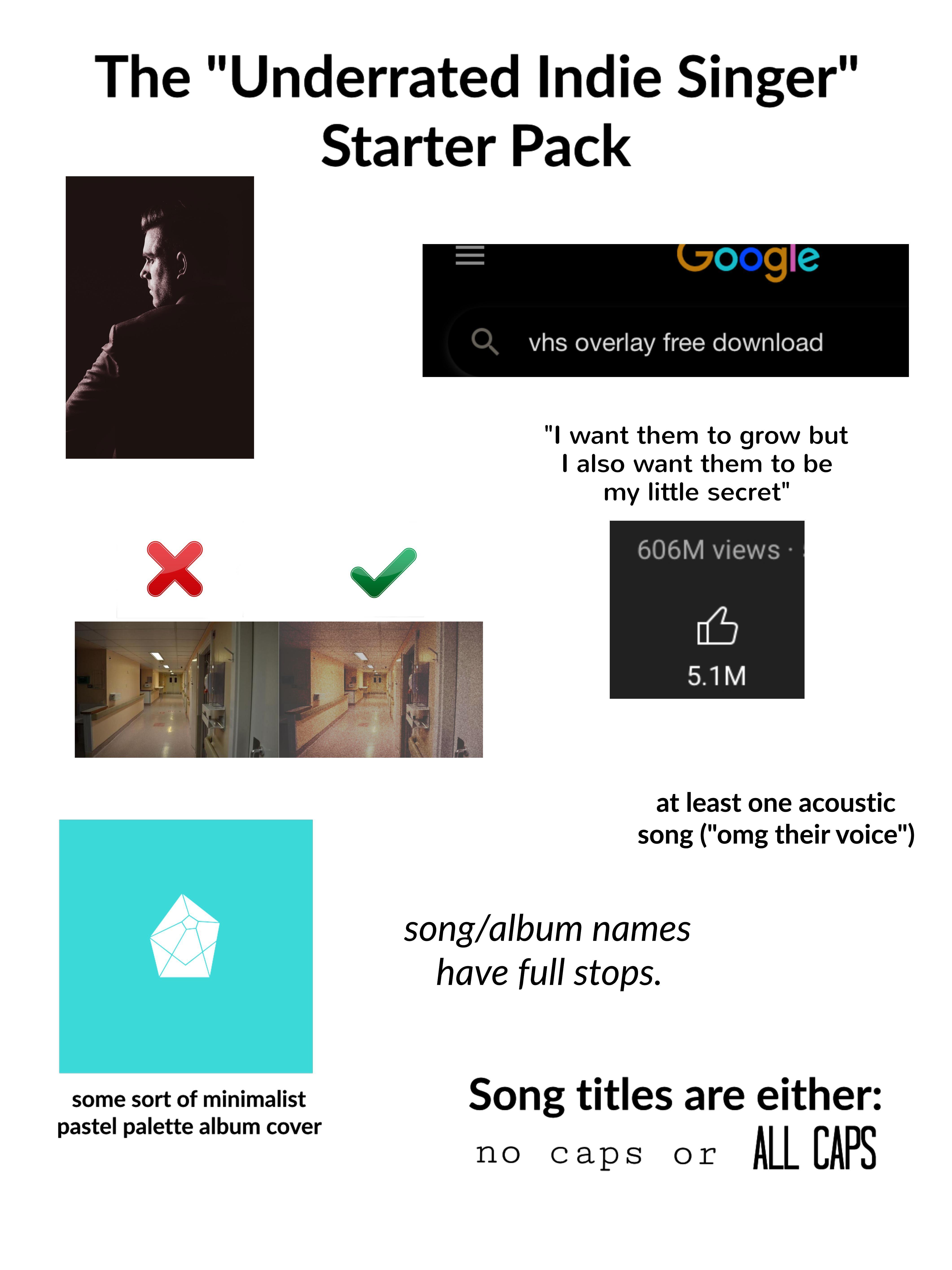 The "Underrated Indie Singer" starter pack | /r/starterpacks | Starter ...