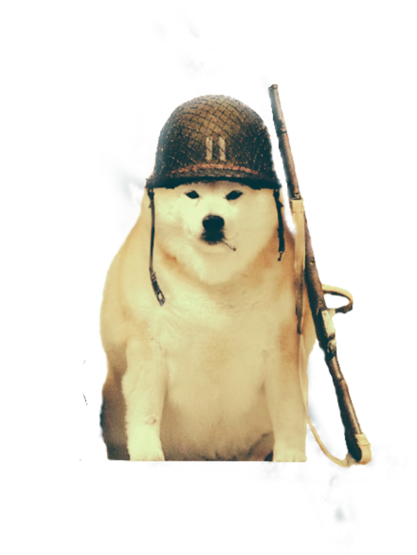 Le Murphy's time in Vietnam has been reminisced | /r/dogelore | Ironic ...