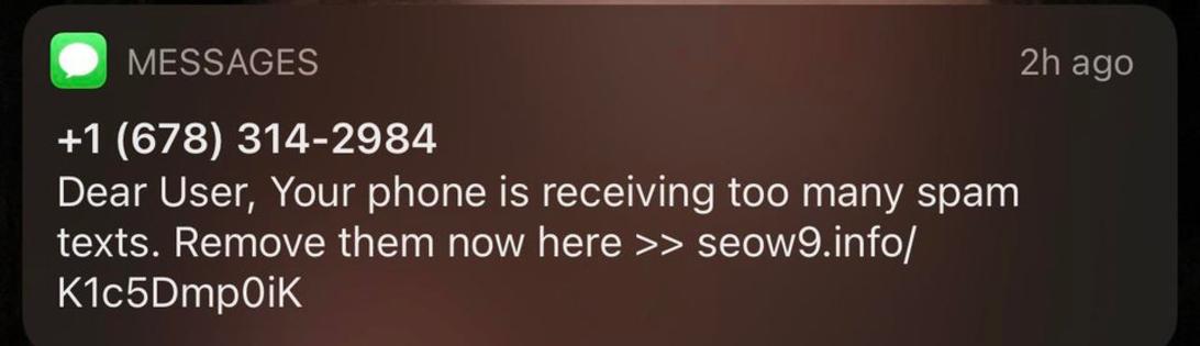 Getting Spam Texts about Spam | Mildly Infuriating | Know Your Meme