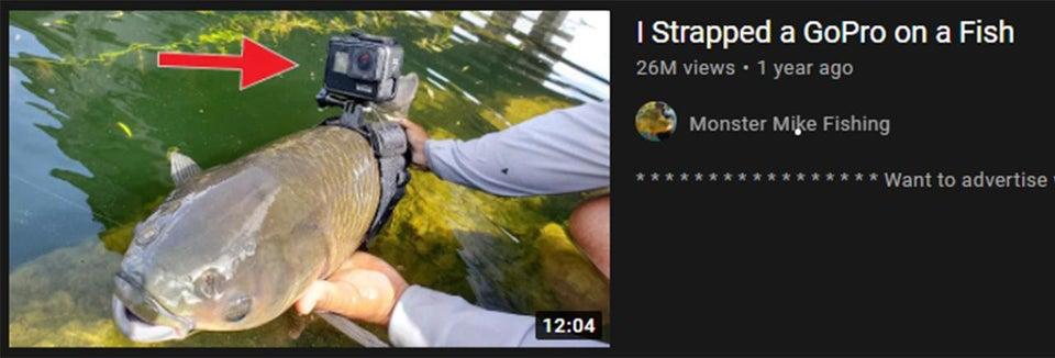 Go Fish | Comedy Cemetery | Know Your Meme