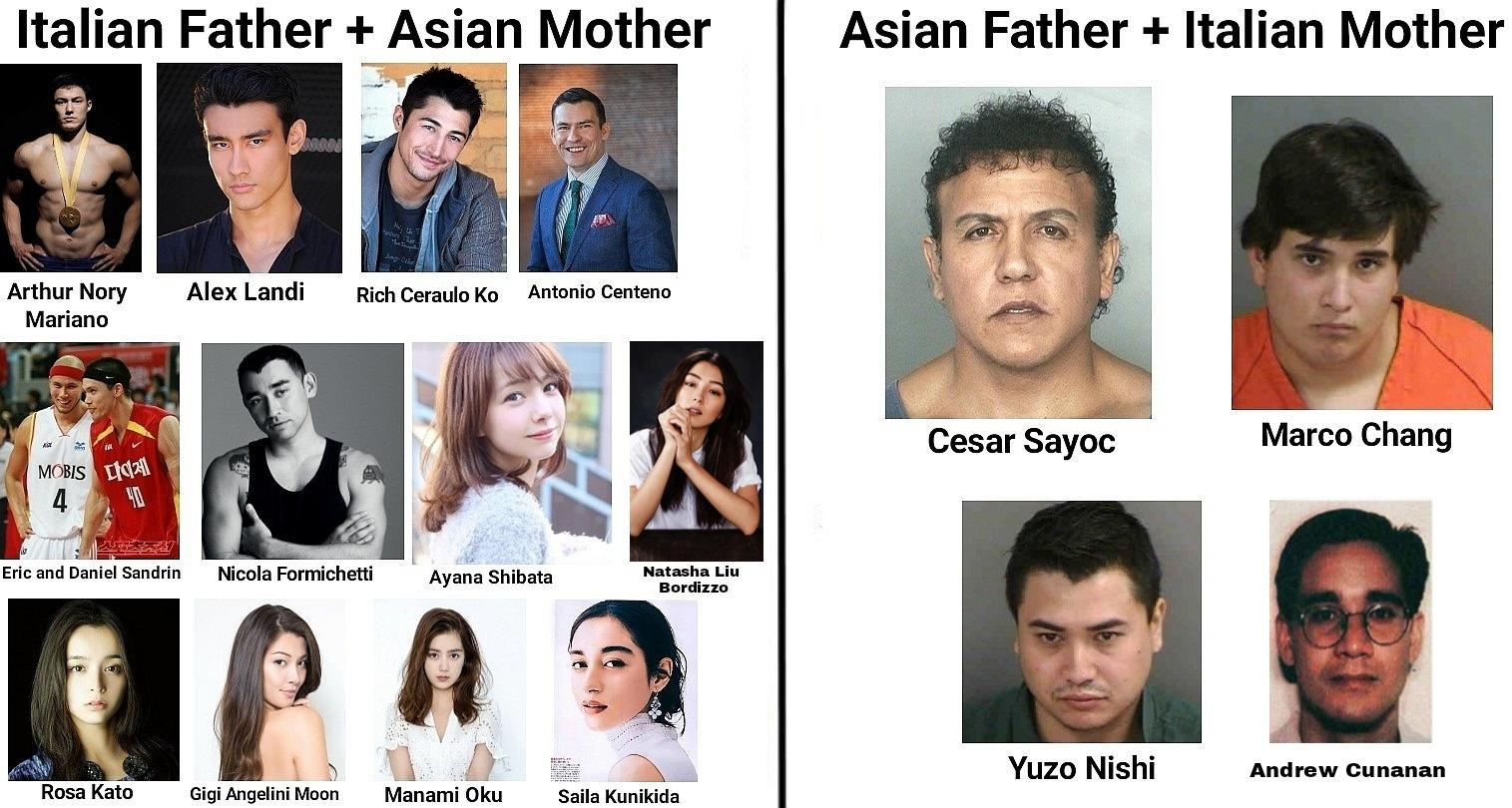Updated graph containing the Spaghetti Hapas (Italian Father + Asian ...