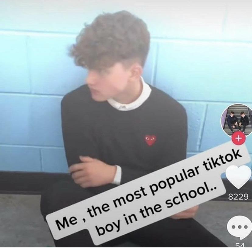 tiktok screenshot | TikTok | Know Your Meme