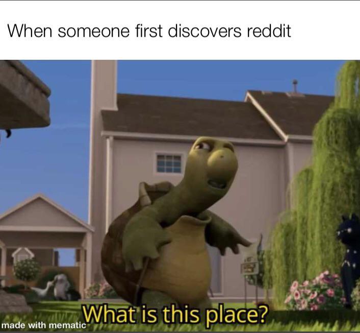 It's All Downhill from Here | /r/Memes | Know Your Meme