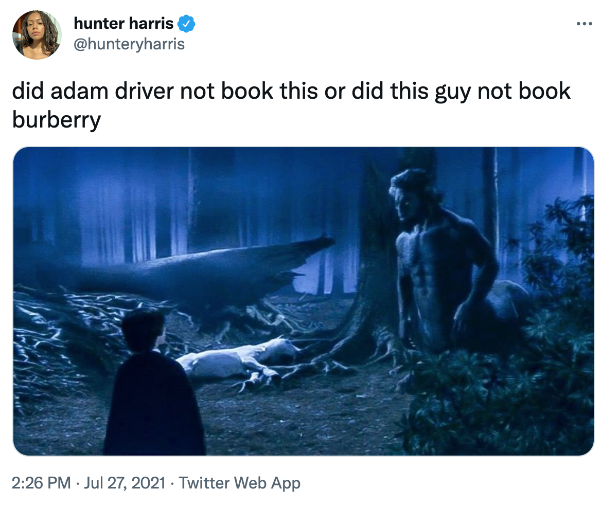 Centaur Harry Potter | Centaur Adam Driver | Know Your Meme