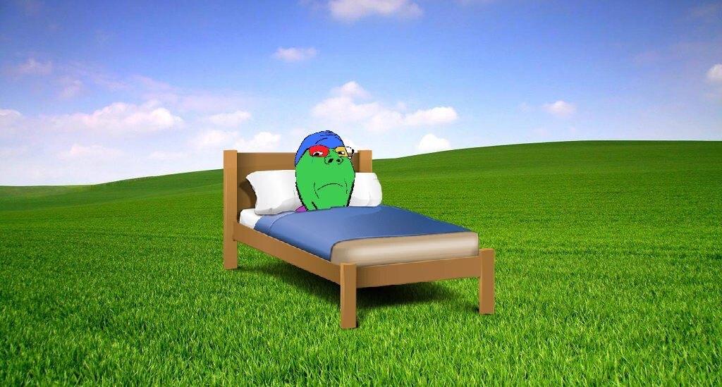 Wojak soyjak awake | Soy Boy Face / Soyjak | Know Your Meme