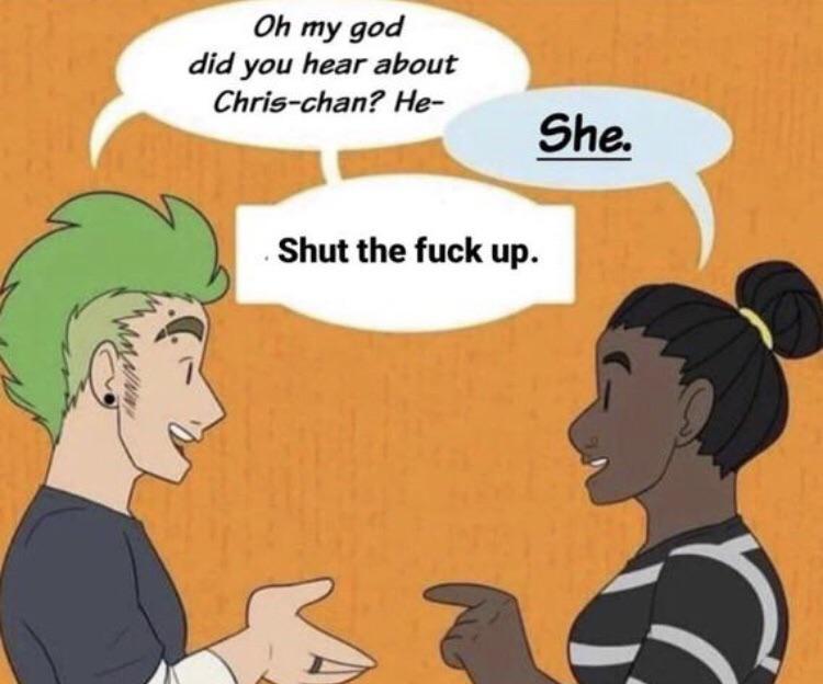 Fixed version | Chris-Chan / CWC / Christine Weston Chandler | Know ...