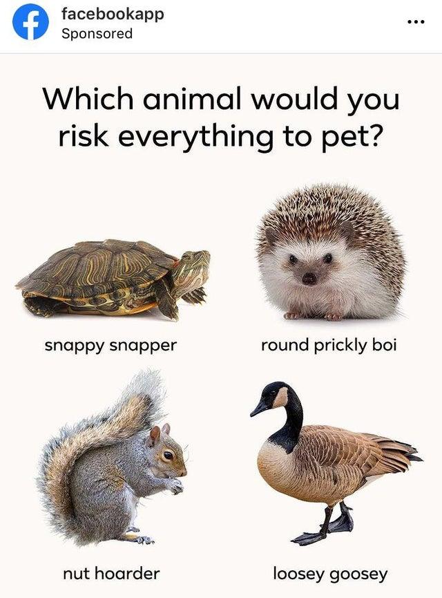 Facebook | Memes in Advertising / Corporate Memes | Know Your Meme