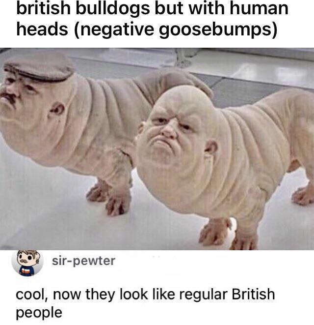 Human British Bulldogs | Thanks, I Hate It | Know Your Meme