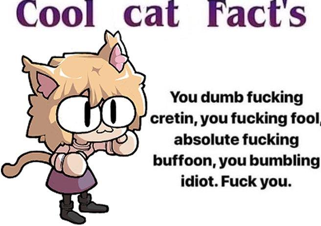 cool cat facts | Neco-Arc | Know Your Meme