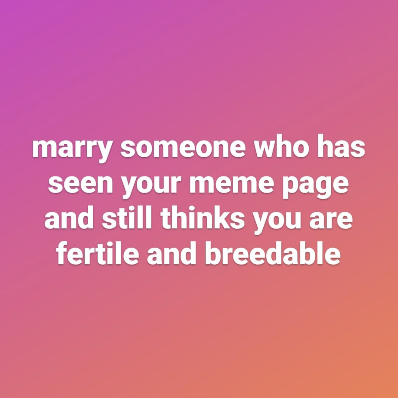 instagram story | Instagram | Know Your Meme