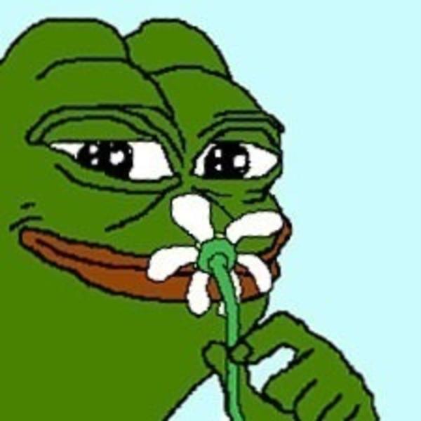 Pepe flower | Smug Frog | Know Your Meme