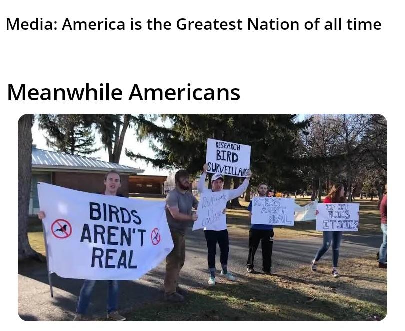 Imagine Thinking Birds Are Real | Know Your Meme