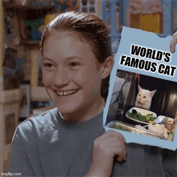 World's Famous Cat | Kristy's Flyer | Know Your Meme