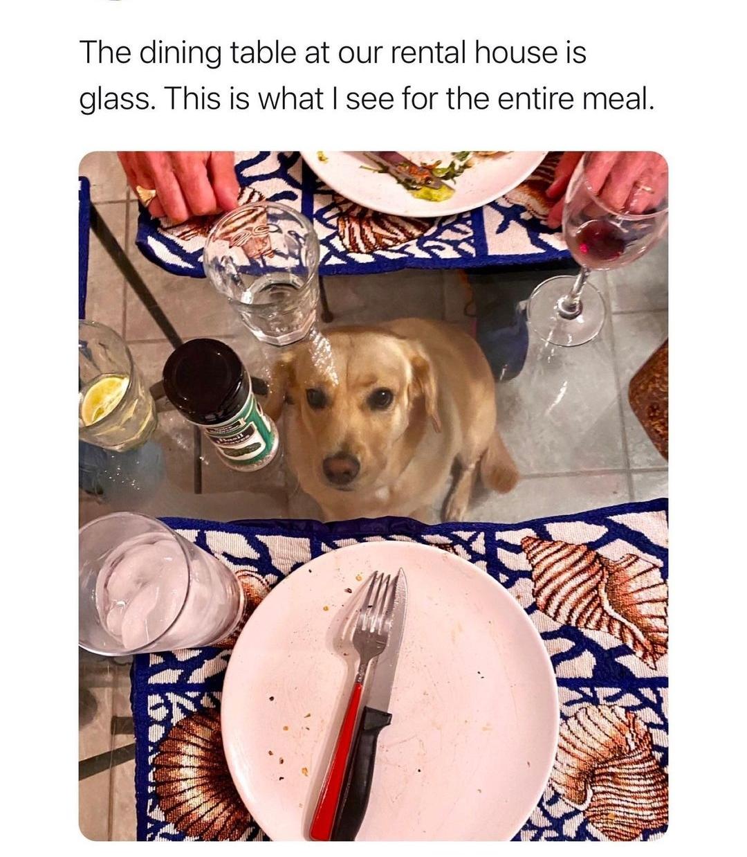 Well , thats a nice view for sure | /r/wholesomememes | Wholesome Memes ...