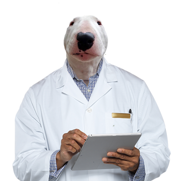 Dr. Walter template | /r/dogelore | Ironic Doge Memes | Know Your Meme