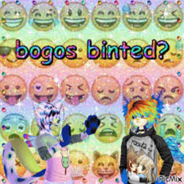 BOGOS BINTED ROFL XD | Bogos Binted | Know Your Meme