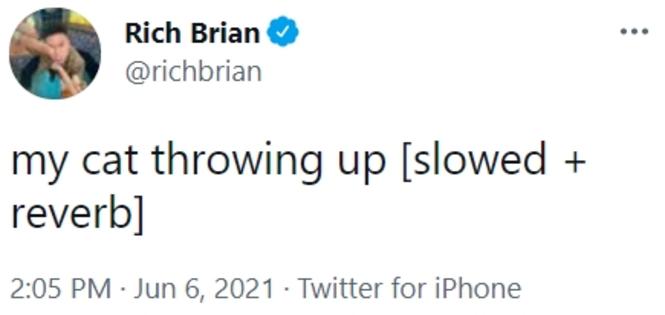 my cat throwing up [slowed + reverb] | Slowed + Reverb | Know Your Meme