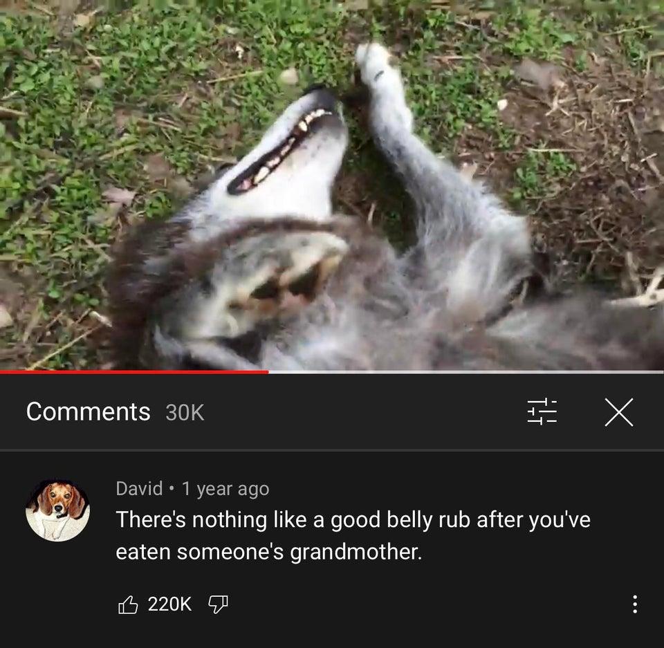 Cursed_Belly Rub | Cursed Comment | Know Your Meme