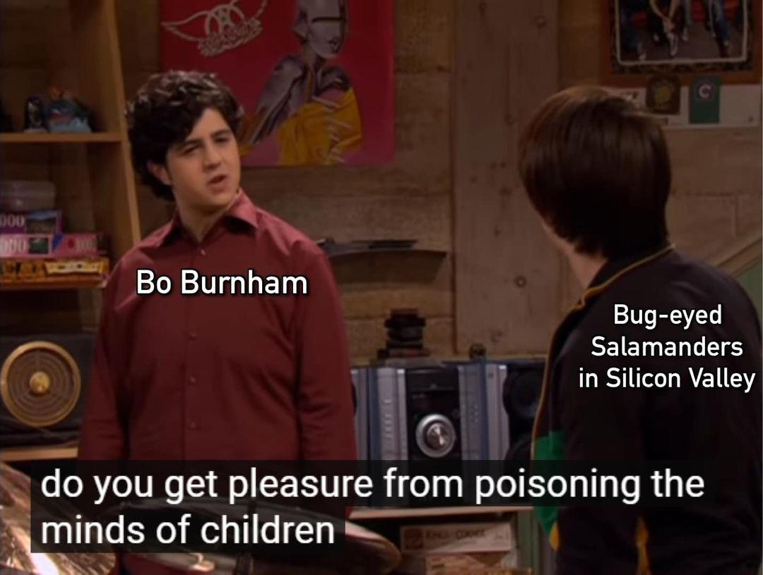 Weird Quote, Looking Back | Bo Burnham | Know Your Meme