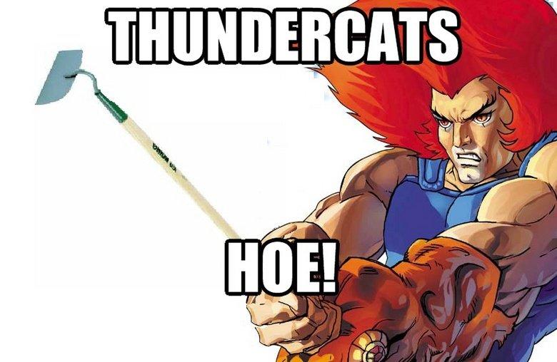 ThunderCats... Hoe! | ThunderCats | Know Your Meme