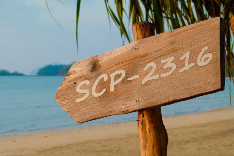 What bodies in the water? | SCP-2316 | Know Your Meme