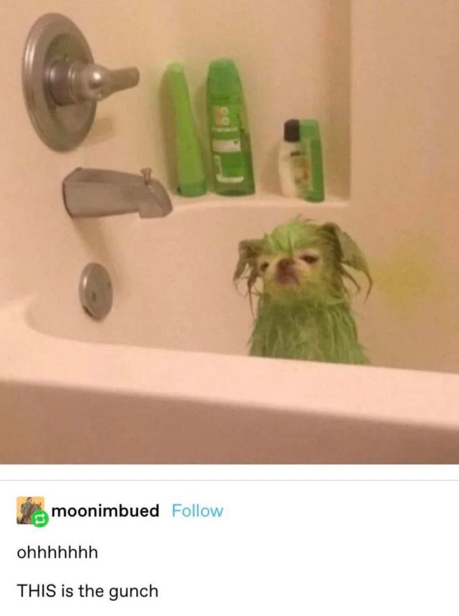 ohhhhhhh THIS is the gunch | Tumblr | Know Your Meme