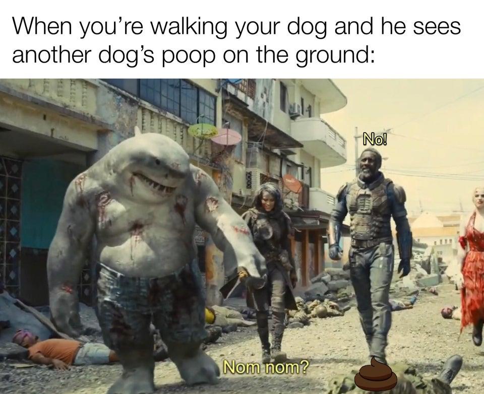 King Shark meme | King Shark | Know Your Meme