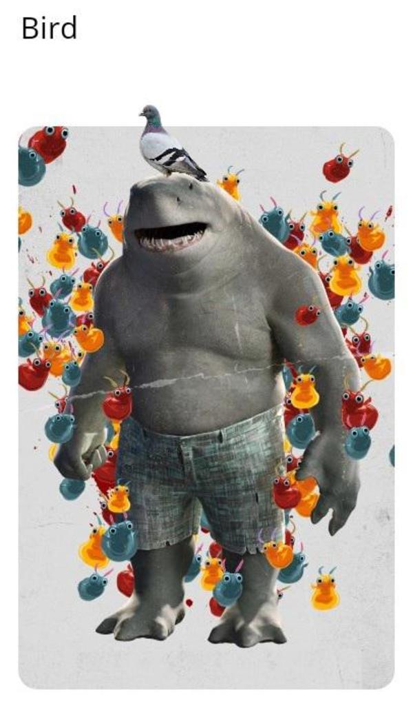 King Shark Bird meme | King Shark | Know Your Meme