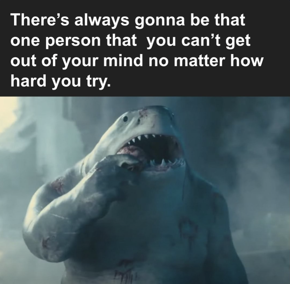 King Shark meme | King Shark | Know Your Meme