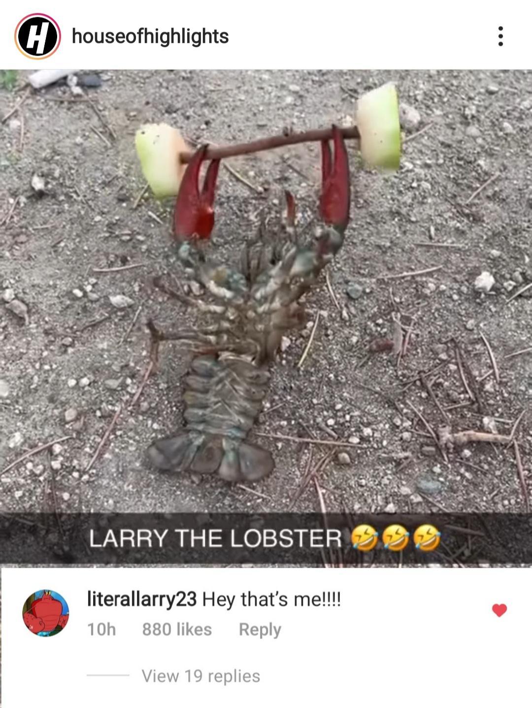 Larry the lobster | /r/beetlejuicing/ | Beetlejuicing | Know Your Meme