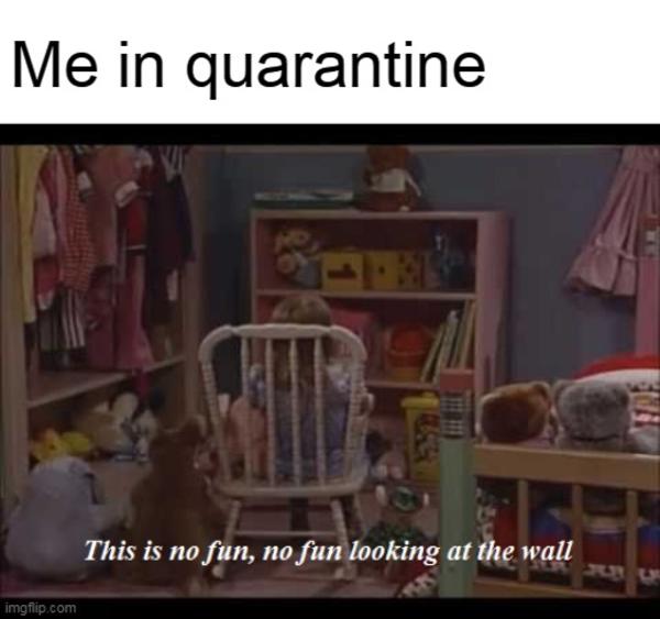 During Quarantine | Quarantined Memes | Know Your Meme