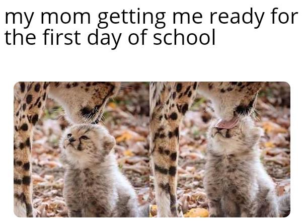 Moooom stop you'll messed up my hair | /r/wholesomememes | Wholesome ...