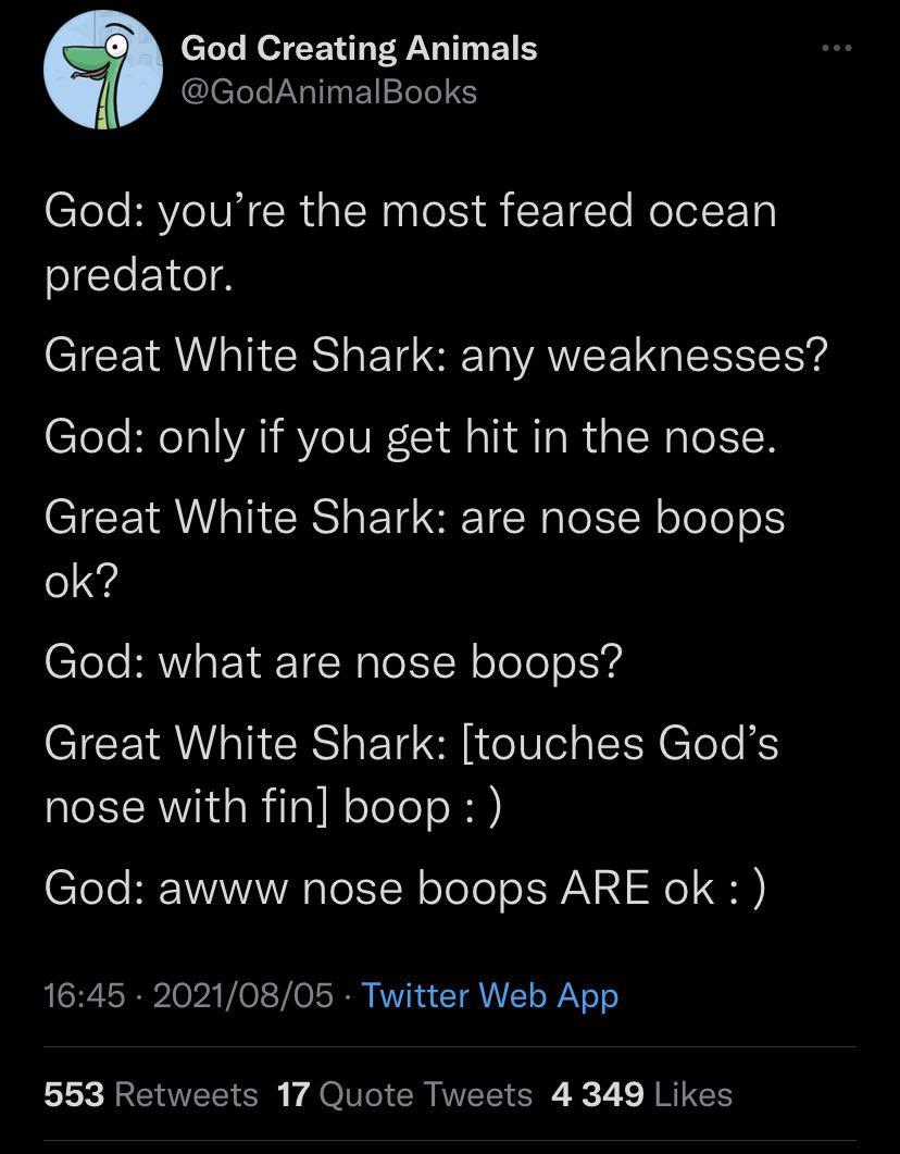 Nose boop : ) | /r/wholesomememes | Wholesome Memes | Know Your Meme