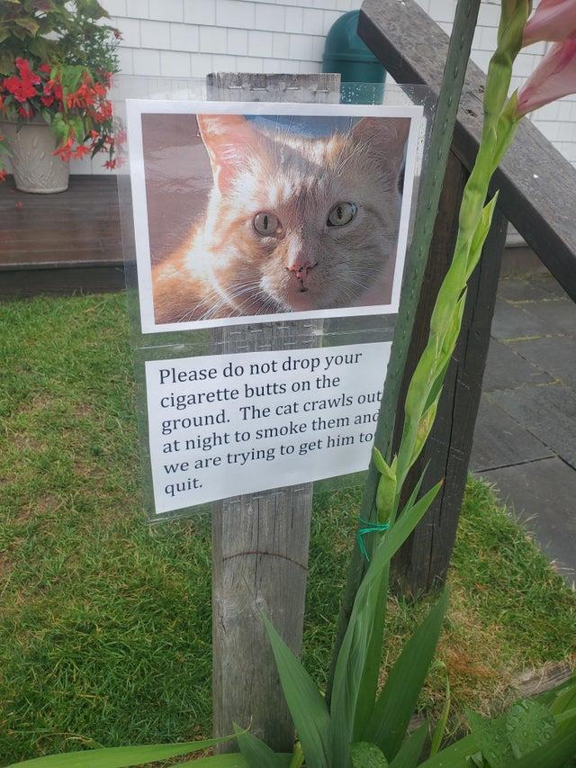 Blessed_Addict | Blessed Image | Know Your Meme