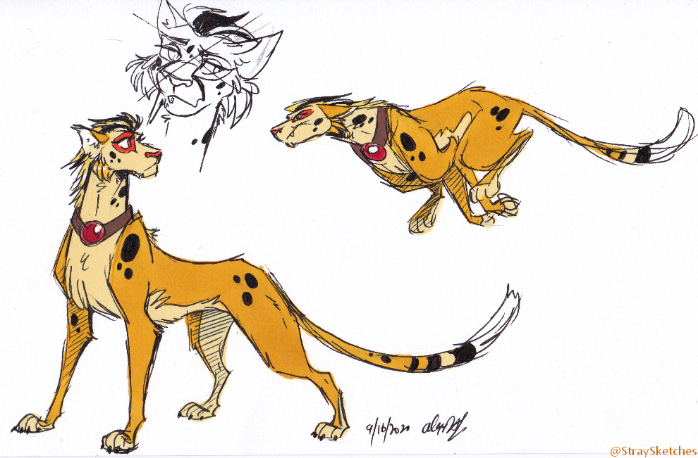 ThunderCats - more 90s-era Cheetara by Stray-Sketches | ThunderCats ...