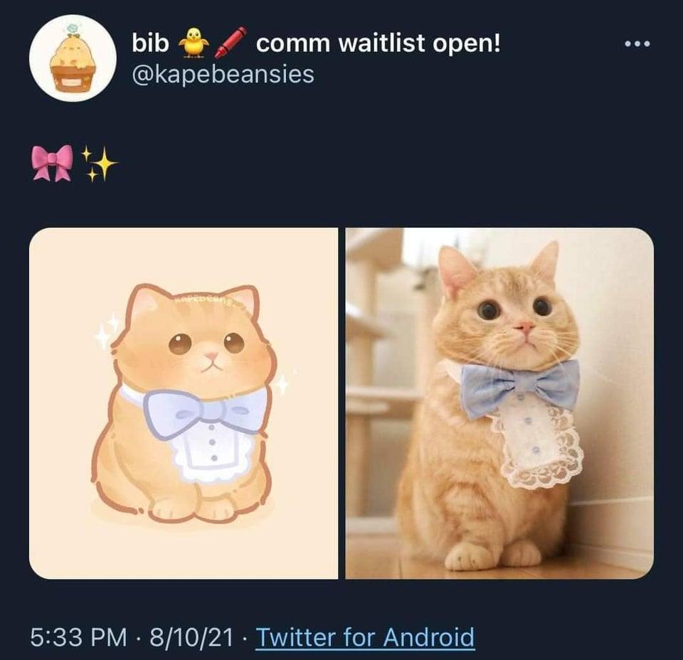 A Costume | Cats | Know Your Meme