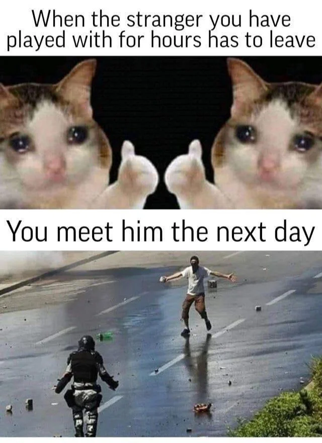 Good Feelings | /r/wholesomememes | Wholesome Memes | Know Your Meme