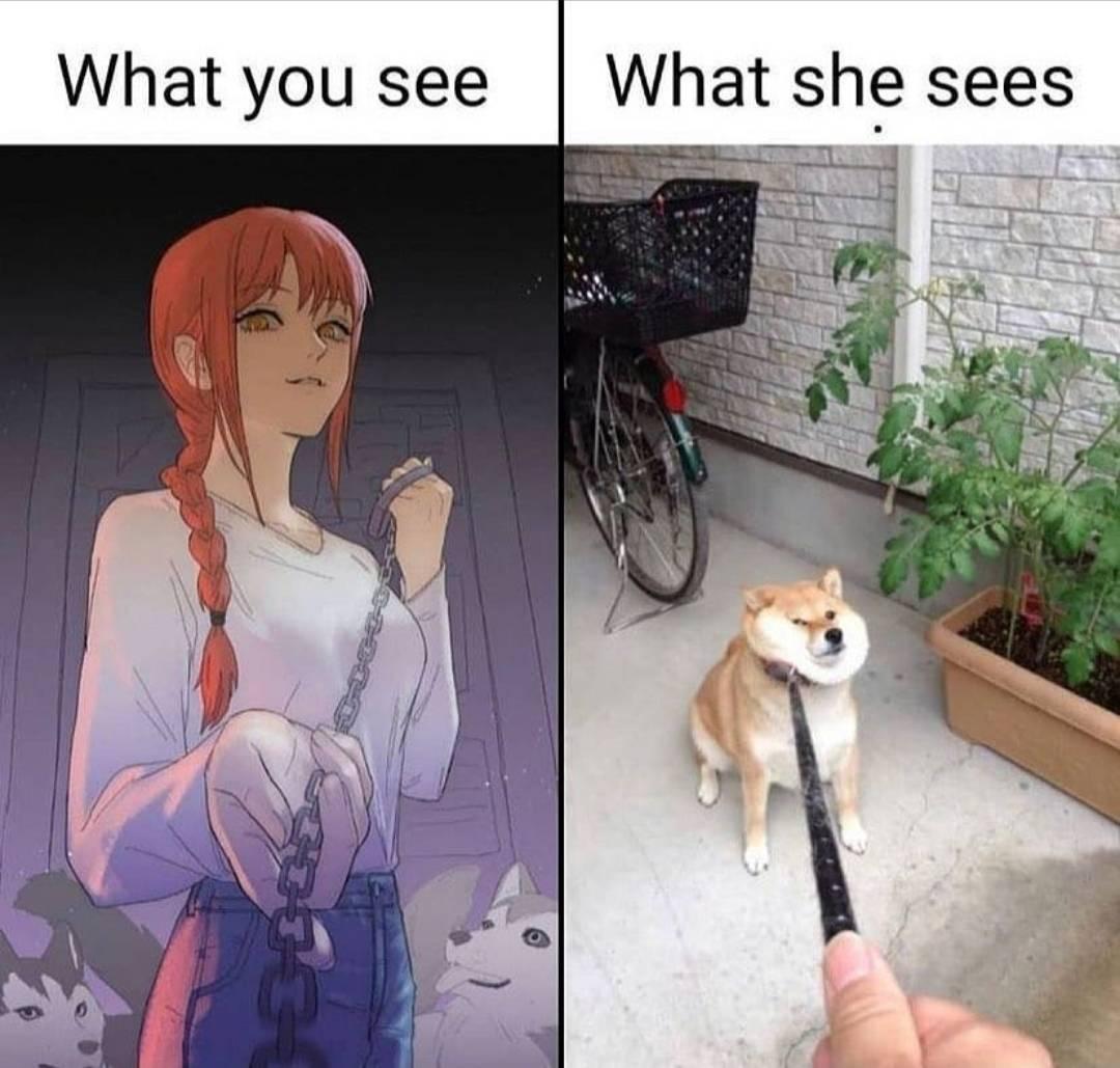 Woof What You See Vs What She Sees Know Your Meme Woof What You See Vs What She Sees Know Your Meme