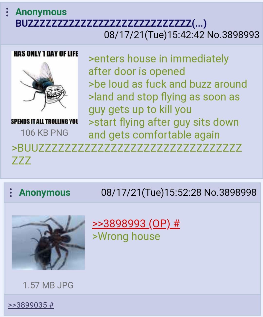 Spiderbro got your back | /r/Greentext | Greentext Stories | Know Your Meme