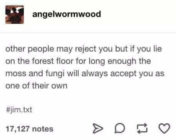 Find Acceptance | Know Your Meme