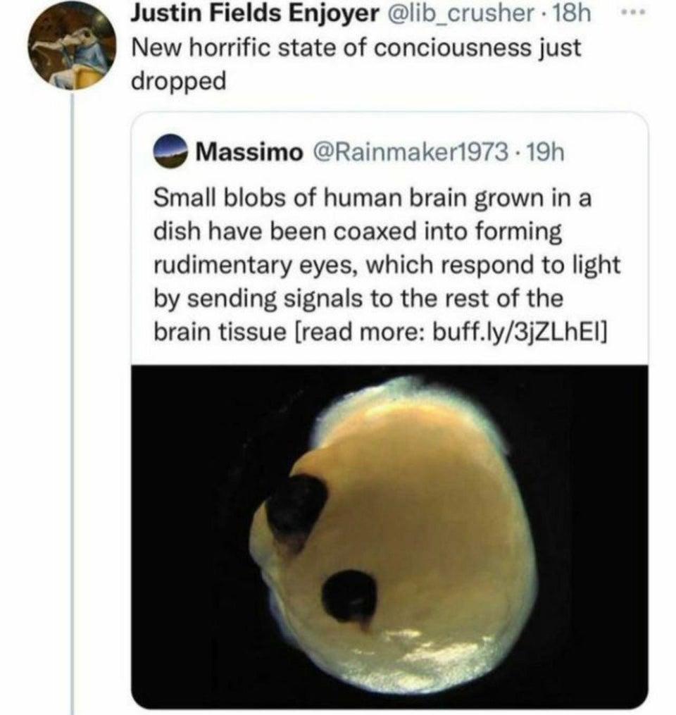 Science Has Gone Too Far | Cursed Images | Know Your Meme