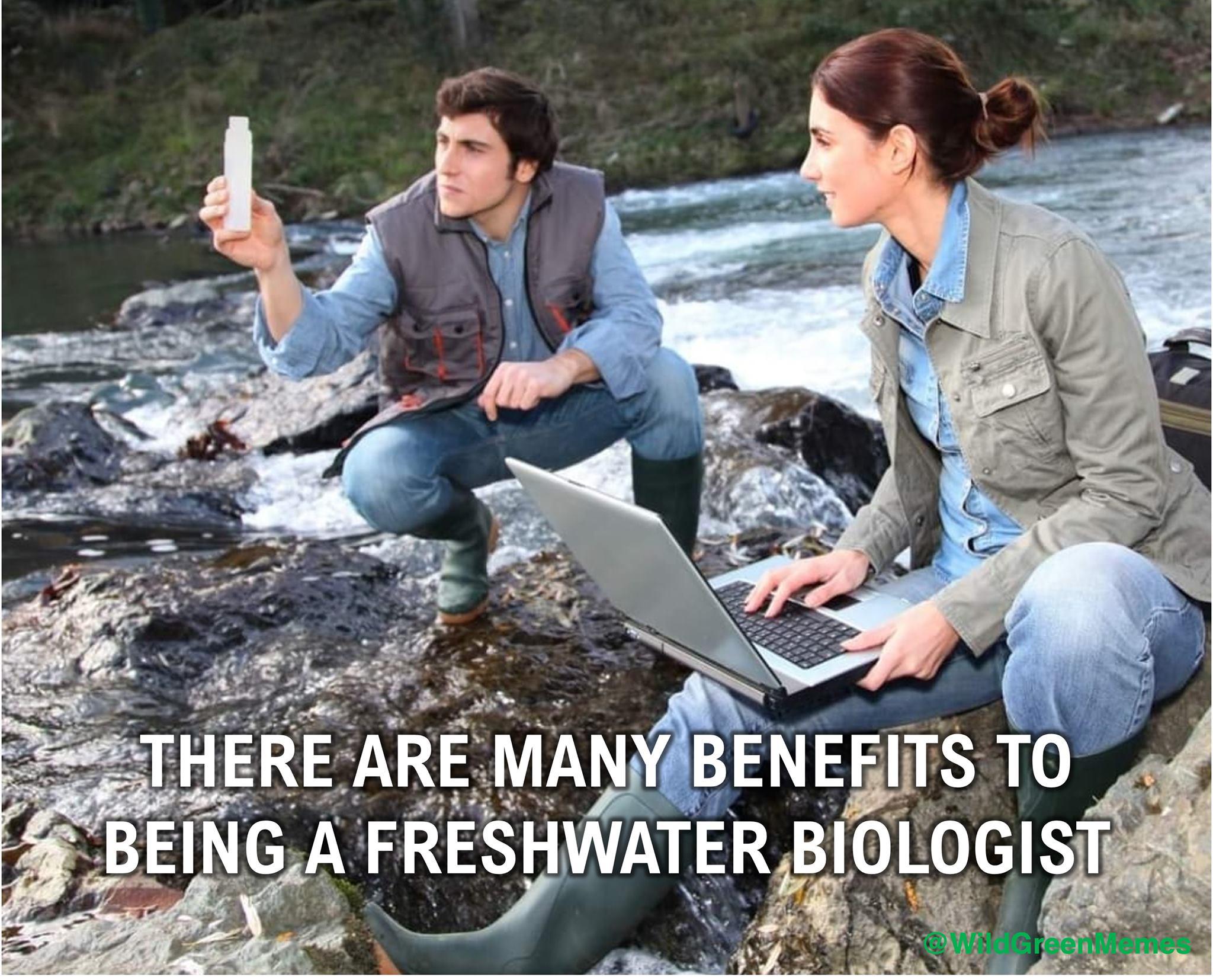 There are many benefits to being a Freshwater Biologist | There Are ...