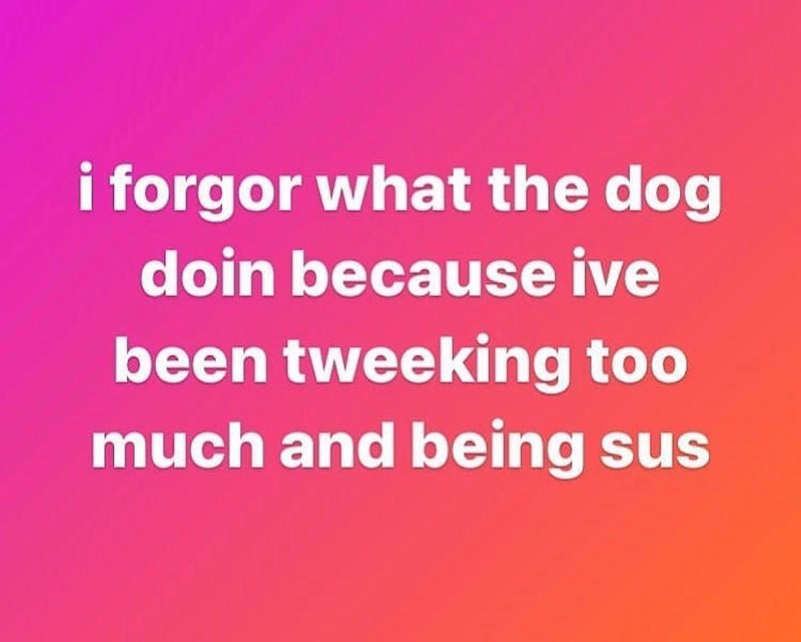 i forgor what the dog doin | I Forgor 💀 | Know Your Meme